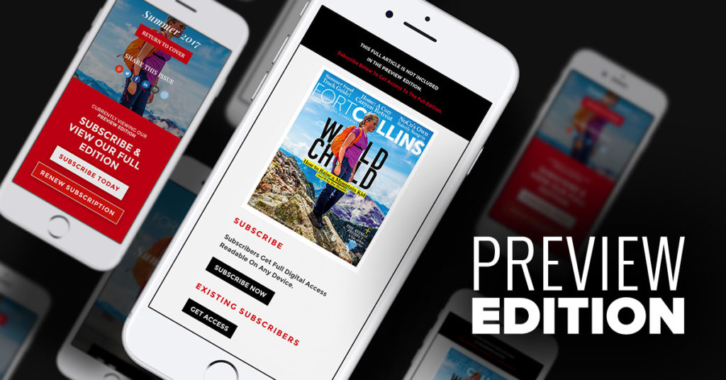 Digital Edition Publishing Platform Innovation: Adding a Digital ...